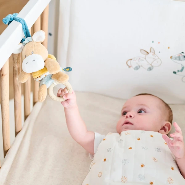 Nattou Felix & Leo - Burro - Vibração | aSuaFarmáciaOnline